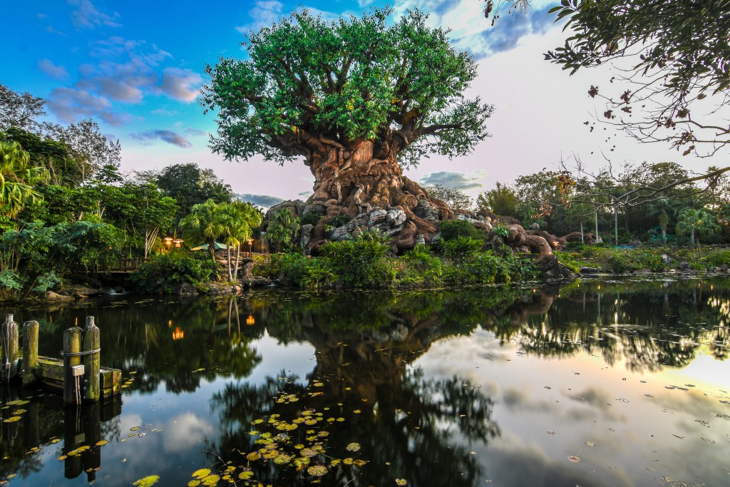 Disney Theme Park Rankings (2026 Edition) - Wandering In Disney